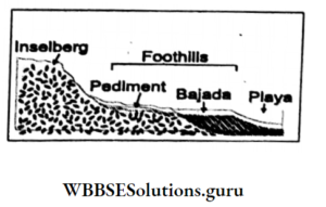WBBSE Notes For Class 10 Geography And Environment Chapter 1 Exogenetic ...
