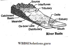 WBBSE Notes For Class 10 Geography And Environment Chapter 1 Exogenetic ...