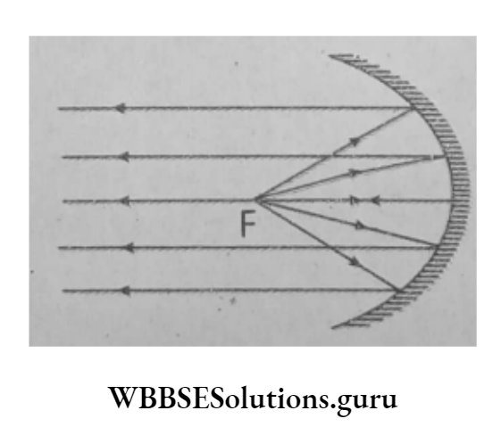 WBBSE Solutions For Class 10 Physical Science And Environment Chapter 5 ...