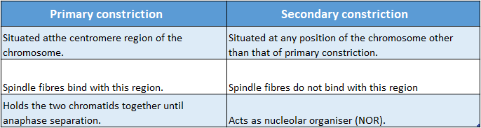 WBBSE Solutions For Class 10 Life Science Chapter 2 Continuity Of Life ...