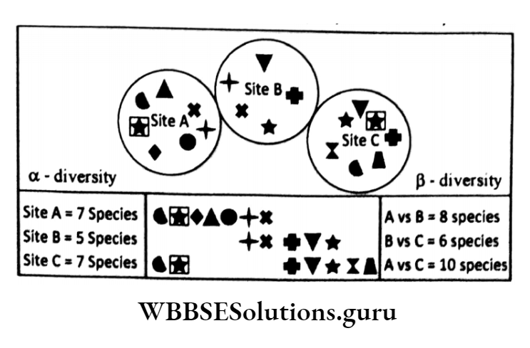 WBBSE Solutions For Class 10 Life Science Chapter 5 Biodiversity And Conservation - WBBSE Solutions