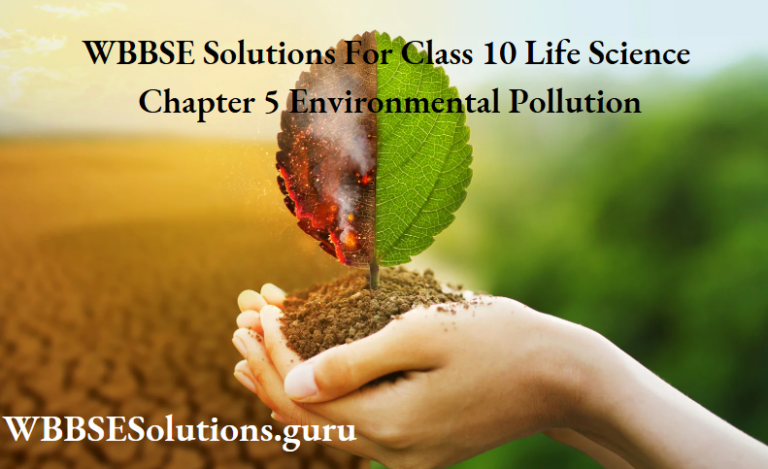 WBBSE Solutions For Class 10 Life Science Chapter 5 Environmental ...