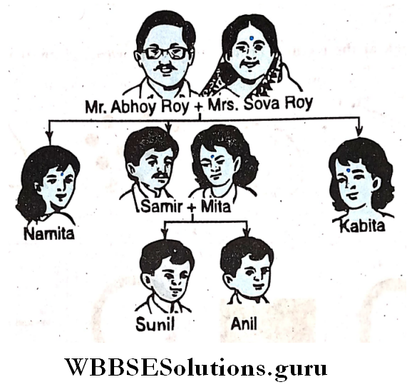 WBBSE Solutions For Class 6 English Miscellaneous Lesson 3 Subject And ...