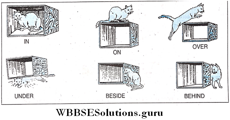 WBBSE Solutions For Class 6 English Miscellaneous Lesson 4 Part Of ...