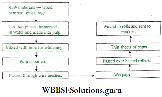 WBBSE Solutions For Class 8 English Writing Skills Paragraph Writing ...