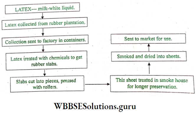 WBBSE Solutions For Class 8 English Writing Skills Paragraph Writing ...
