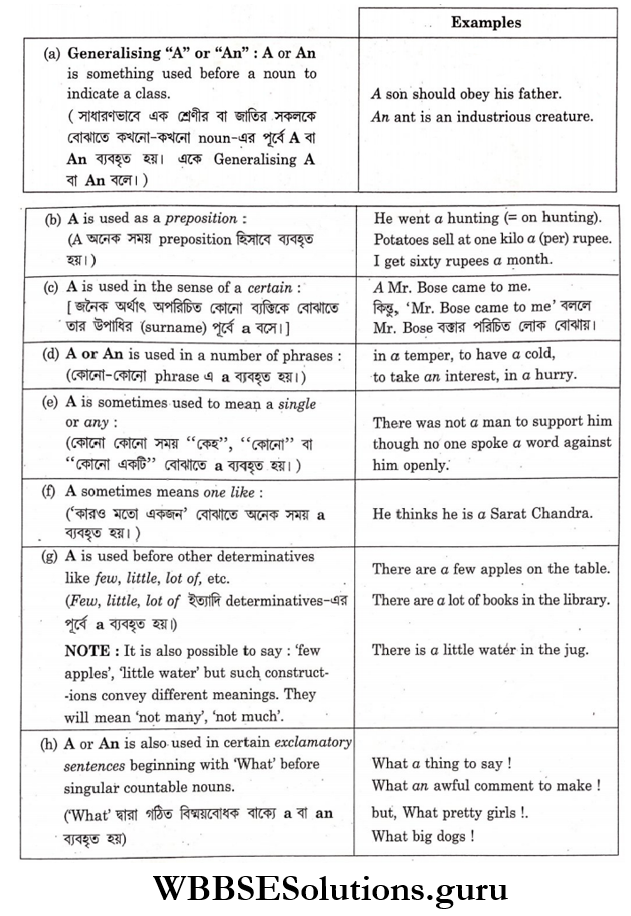 WBBSE Solutions For Class 9 English Functional Grammar Chapter 3 Articles - WBBSE Solutions